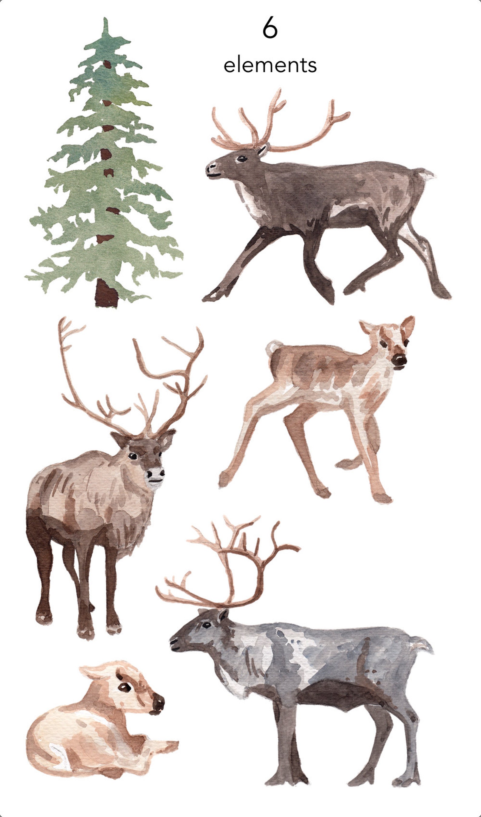WATERCOLOR CLIPART Reindeer Watercolour Christmas Clipart - Etsy