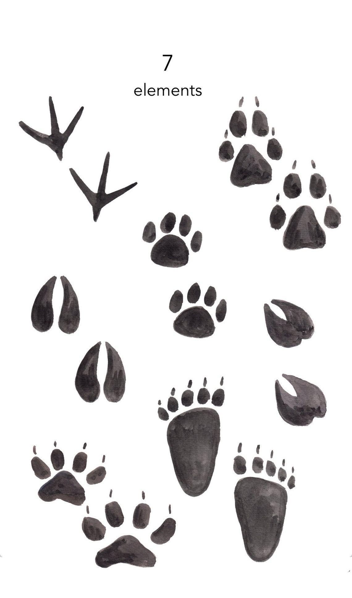 Watercolor Animal Tracks Clipart Set (PNG Files) - Etsy