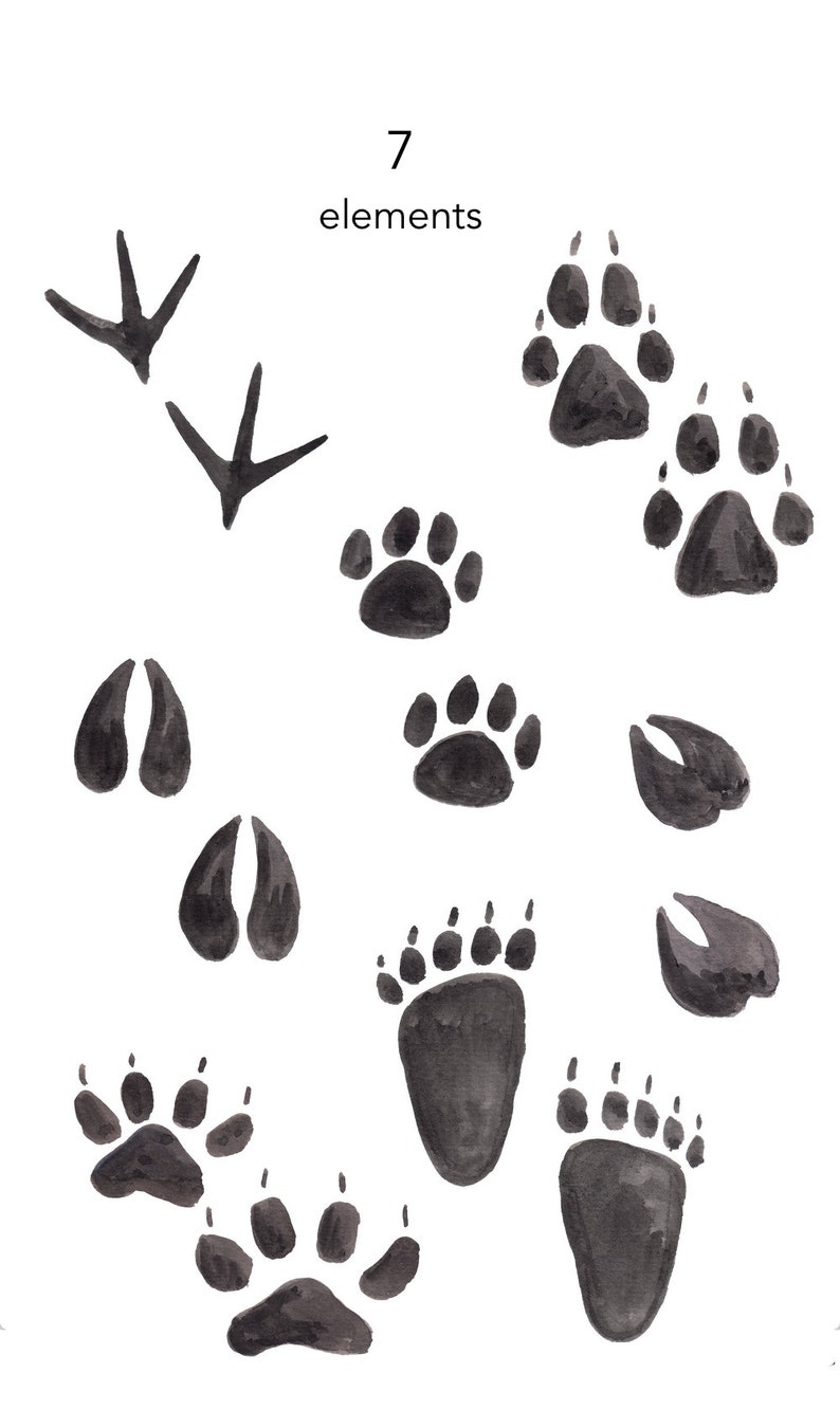 WATERCOLOR CLIPART, Animal Tracks Clipart, Watercolour Clipart Set ...