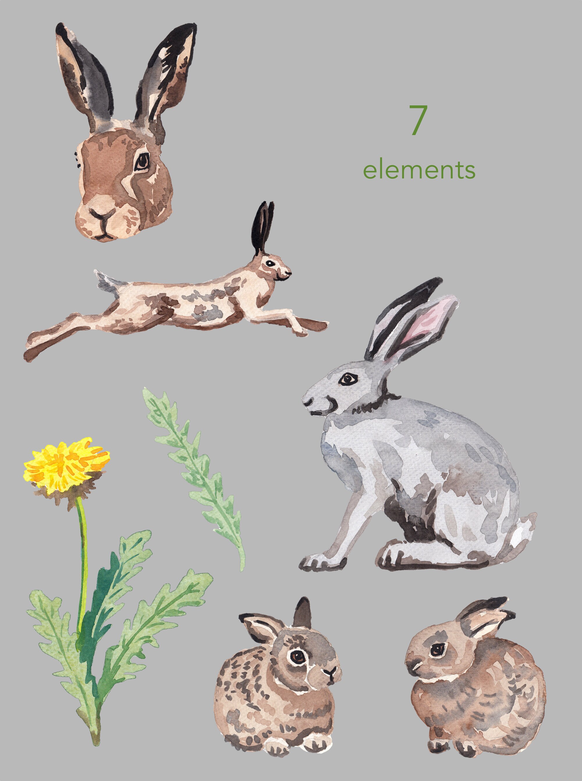 WATERCOLOR CLIPART Hare Clipart Watercolour Clipart Set - Etsy