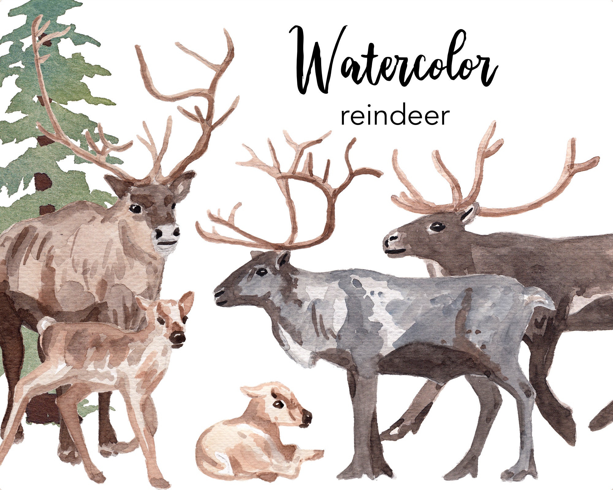 WATERCOLOR CLIPART Reindeer Watercolour Christmas Clipart - Etsy