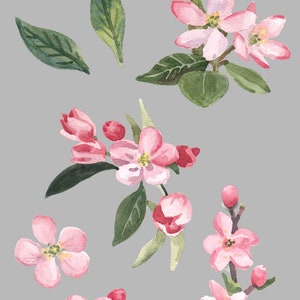 WATERCOLOR CLIPART, Apple Blossoms, Leaves, Branches, Nature, Tree ...