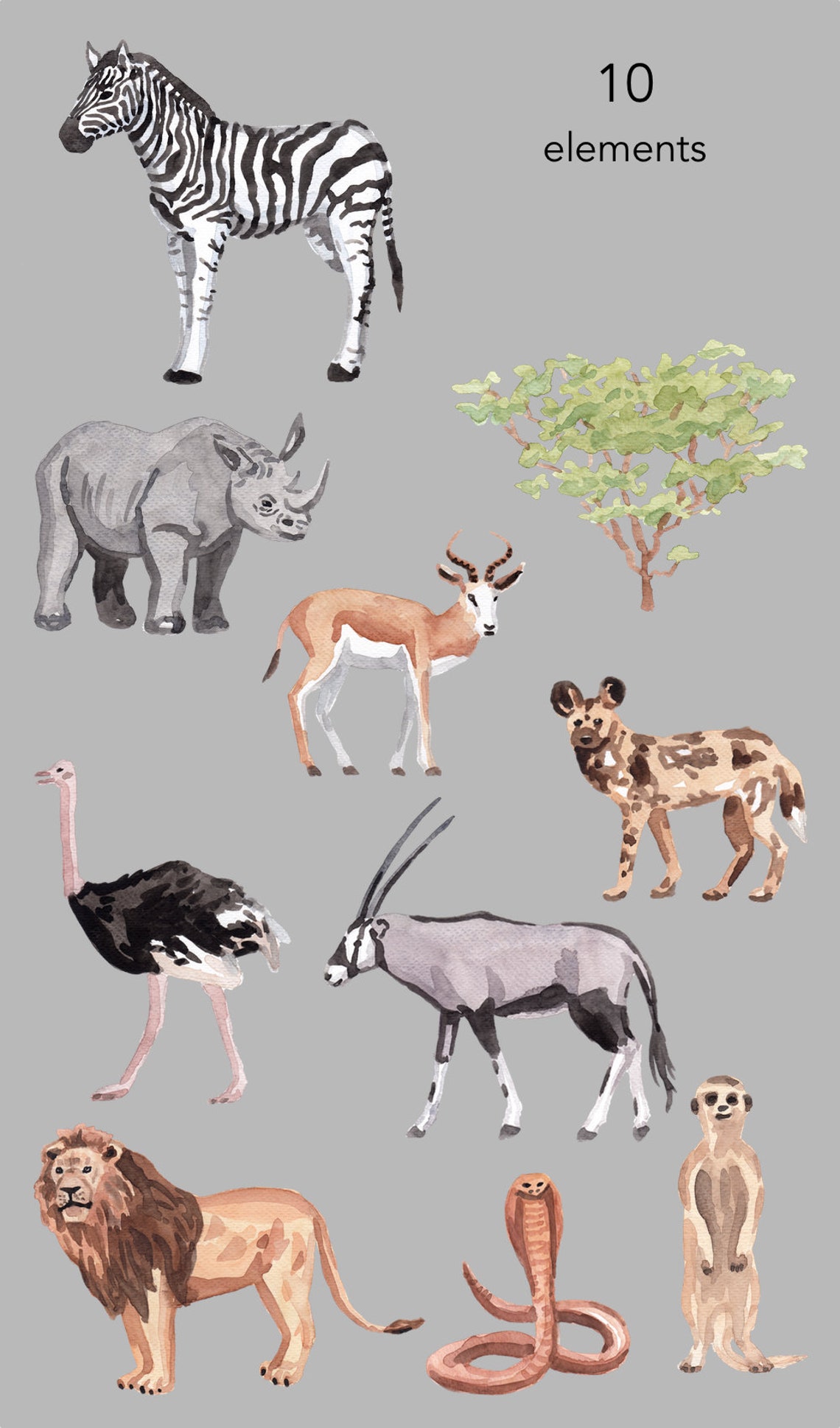 WATERCOLOR CLIPART African Clipart Savanna Safari | Etsy