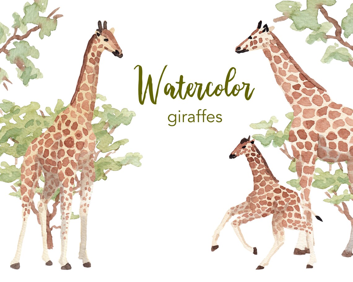 Watercolor Giraffe Clipart Set, Baby Animals (PNG Files) - Etsy