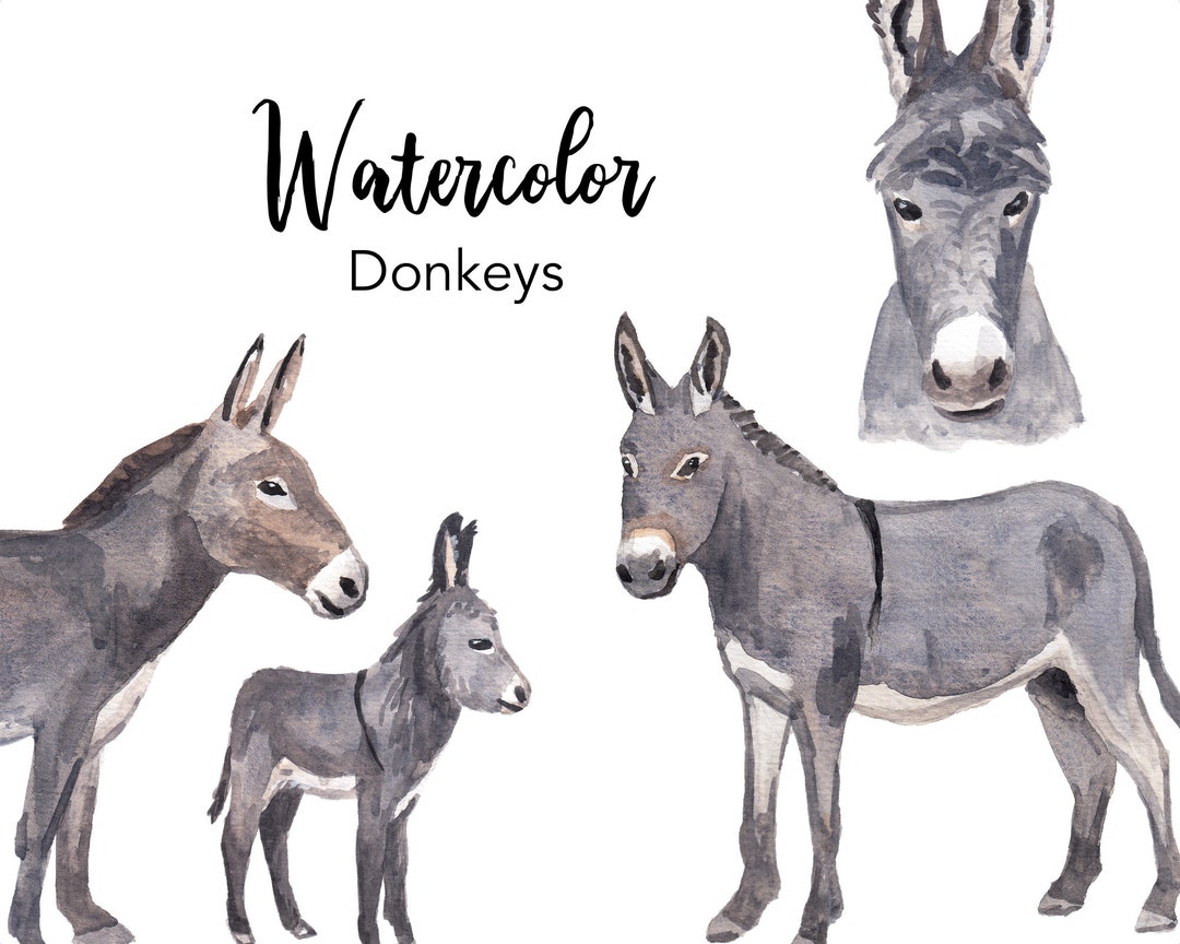WATERCOLOR CLIPART, Donkey Clipart, Watercolour Clipart Set, Mule Image ...