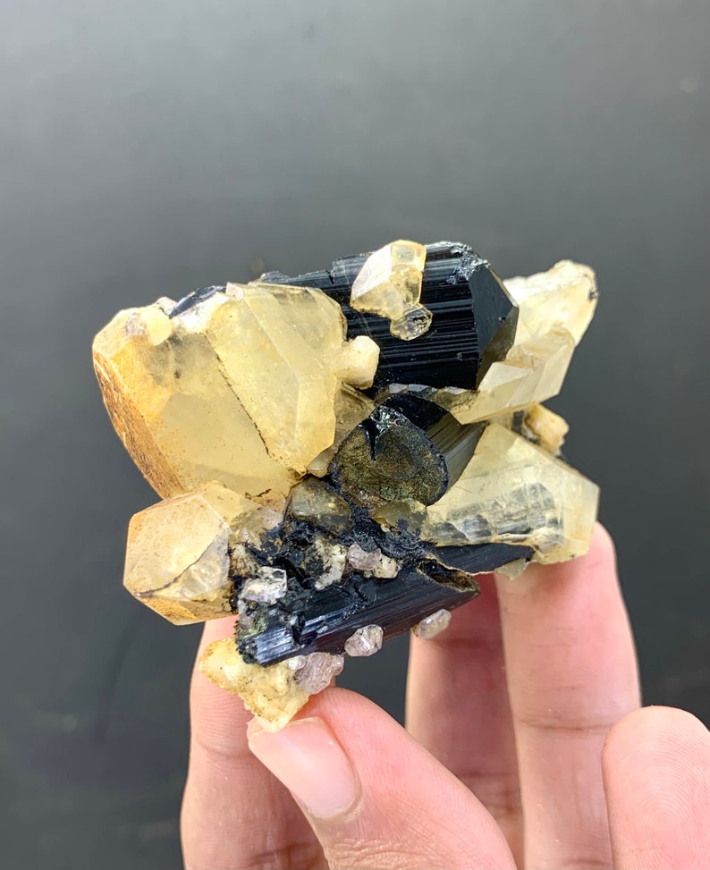 Black Tourmaline With Smoky Quartz and Apatite , Tourmaline Specimen ...