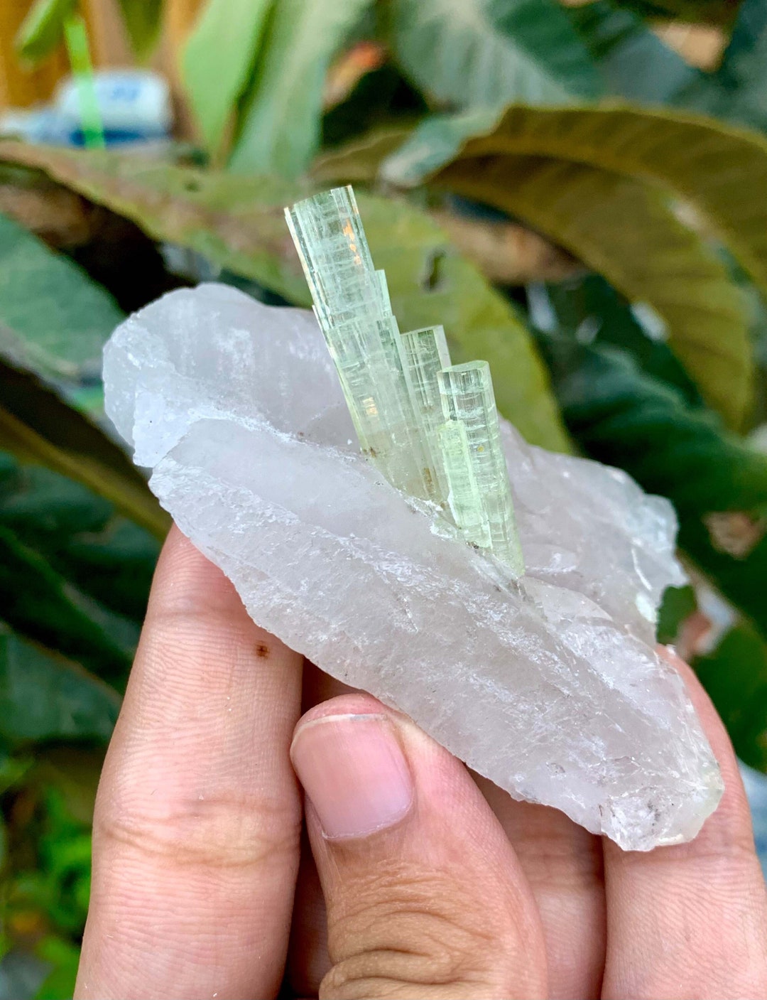 Unique Standing Position Green Tourmaline Crystals on Quartz Crystal ...