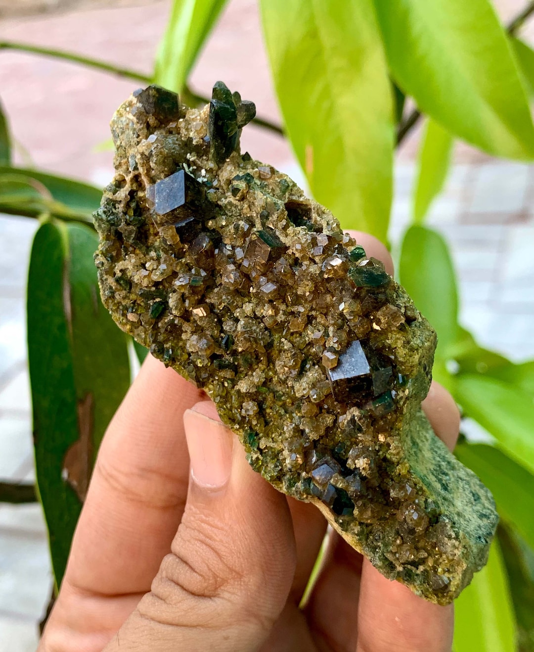 Andradite Garnet Crystals Bunch With Epidote Crystal on Matrix ...