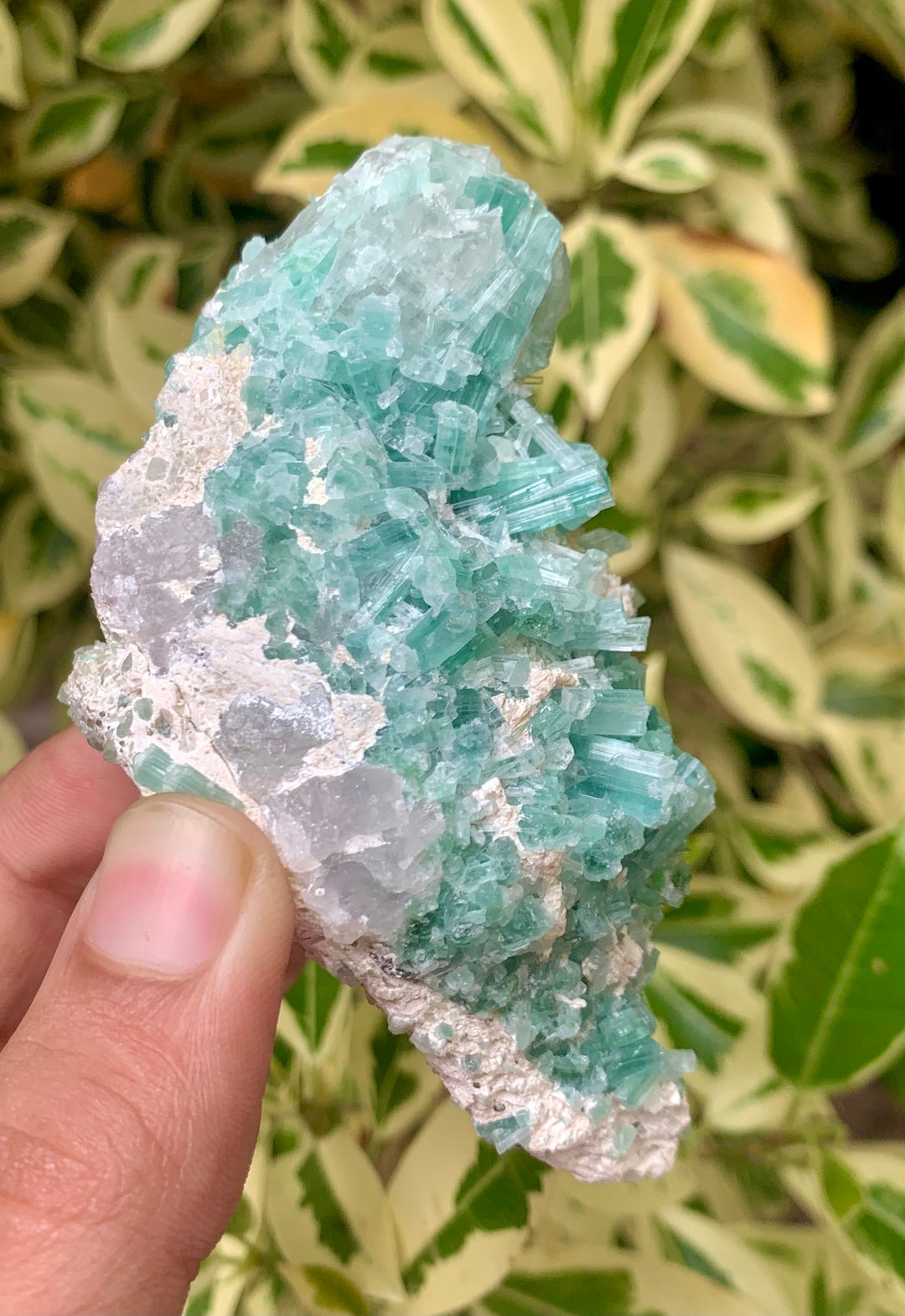 Tourmaline Specimen, Beautiful Paraiba Tourmaline Crystal Bunch With ...