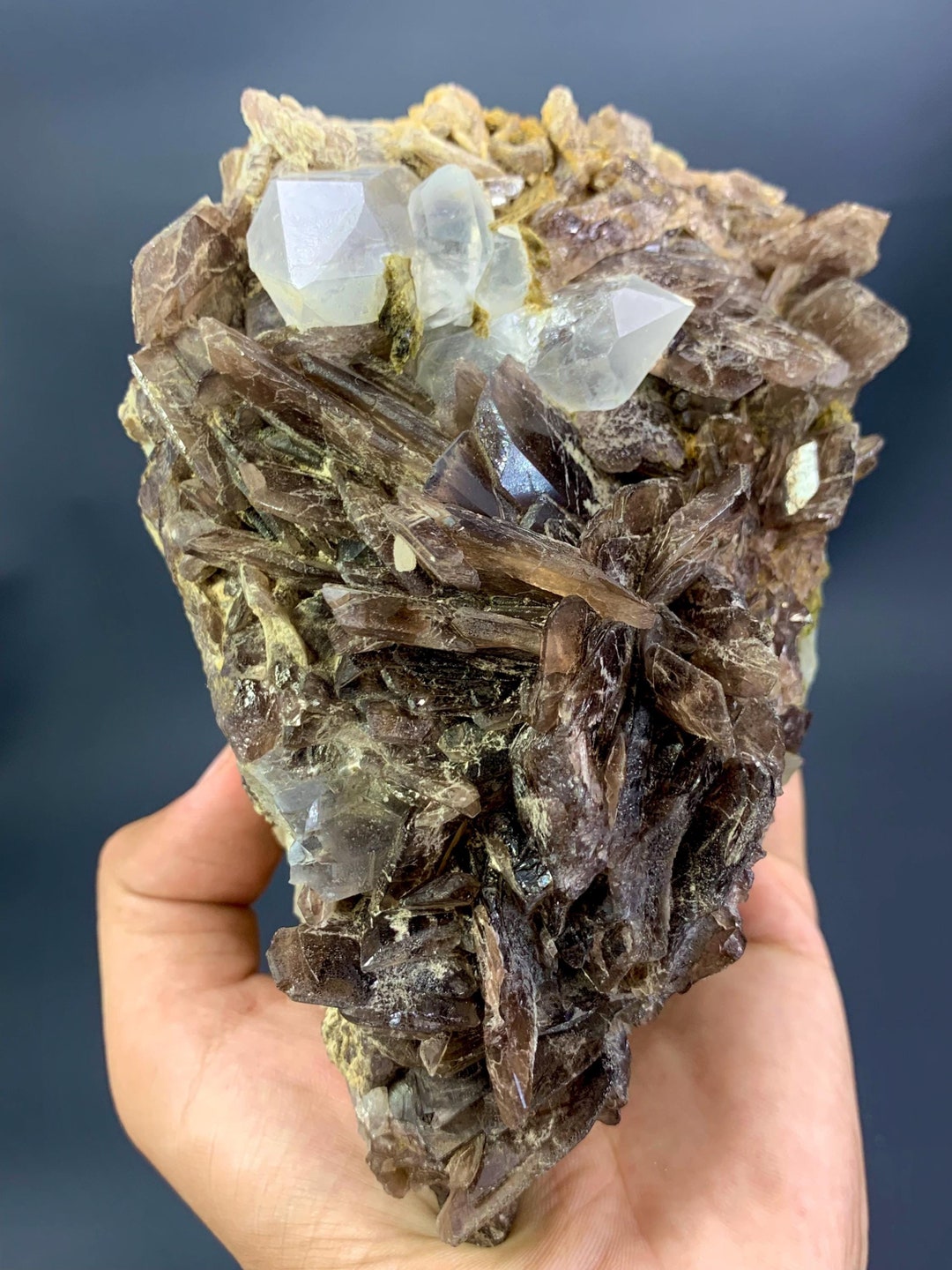 Axinite Crystal Bunch With Quartz - 1164 Gram - Etsy