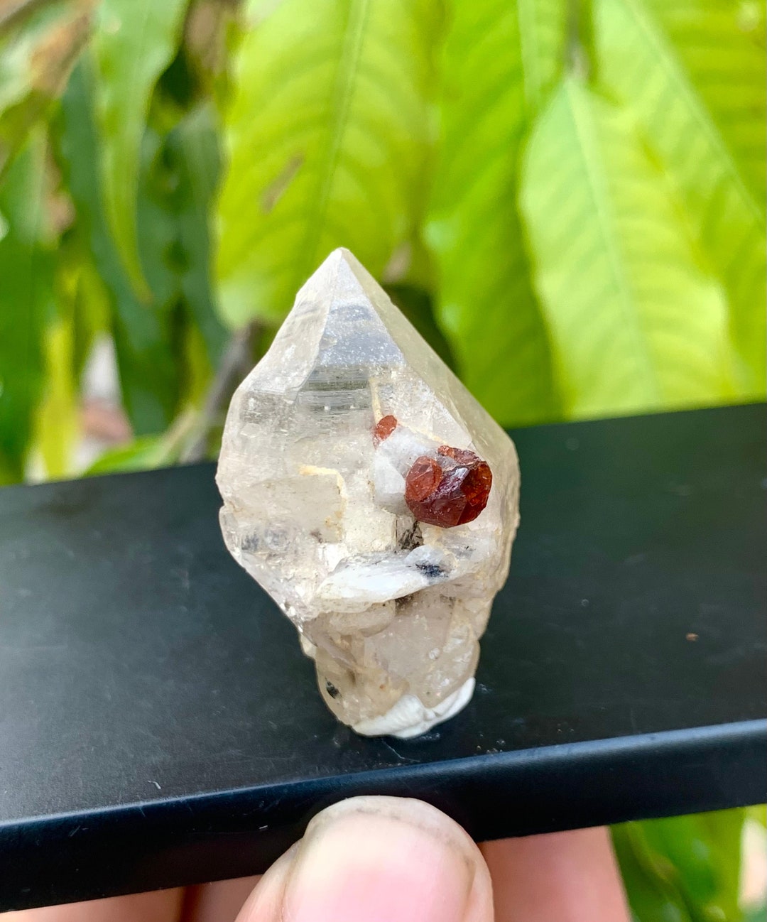 Natural Terminated Spessartine Garnet Crystal on Quartz Crystal, Red ...