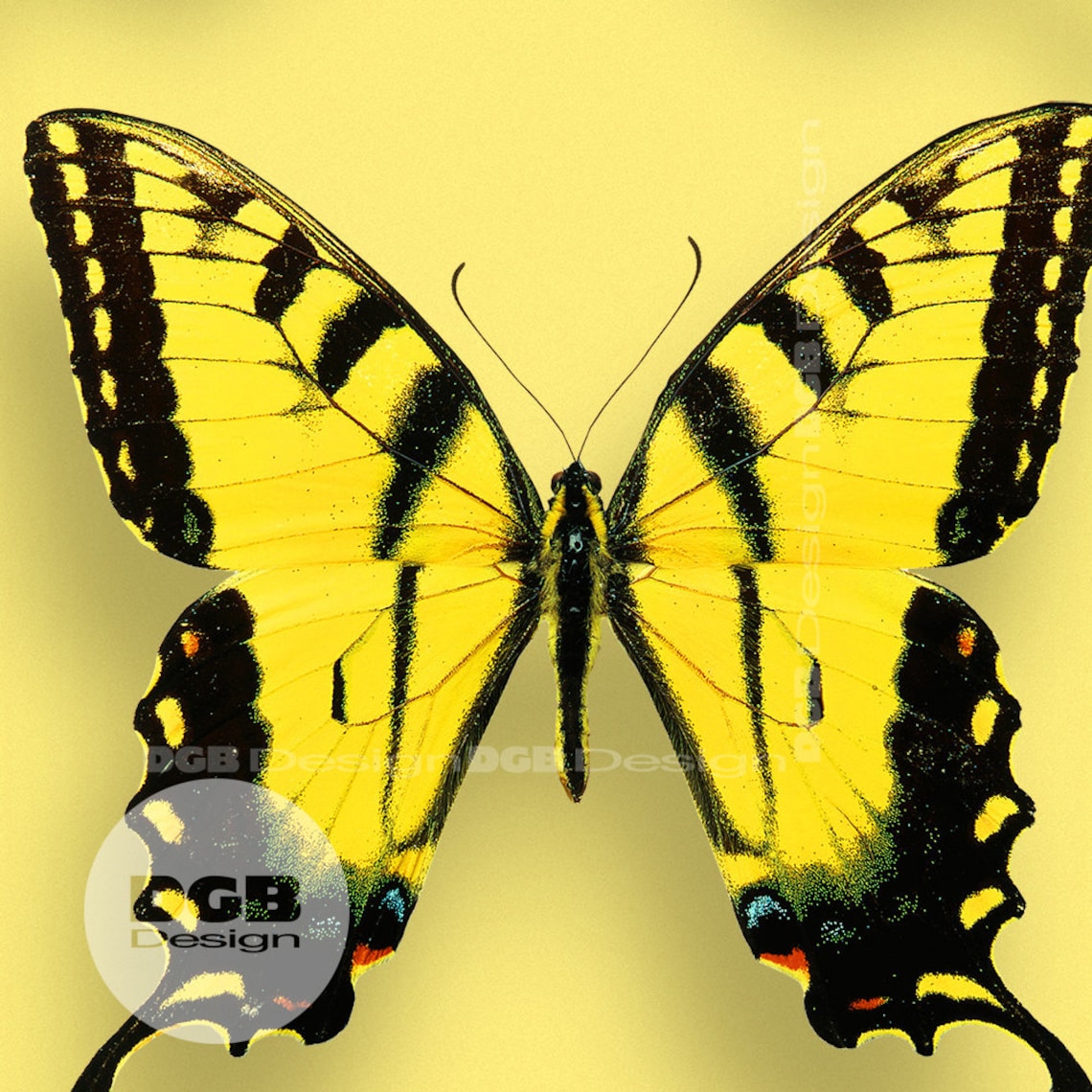Yellow Butterfly Print, Beautiful Butterflies, PRINTABLE ART ...