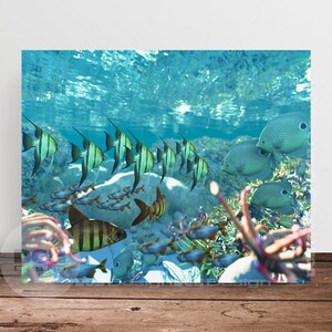 Tropical Art Print, Coral Reef Art, Under Sea Printable, Tropical Fish ...
