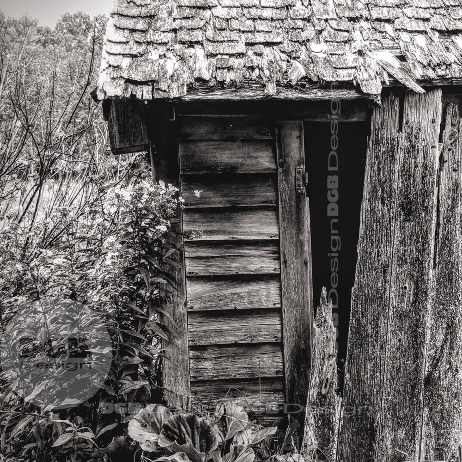 Old Wood Shed, Printable Wall Art, PRINTABLE ART, Art Photography,farm ...