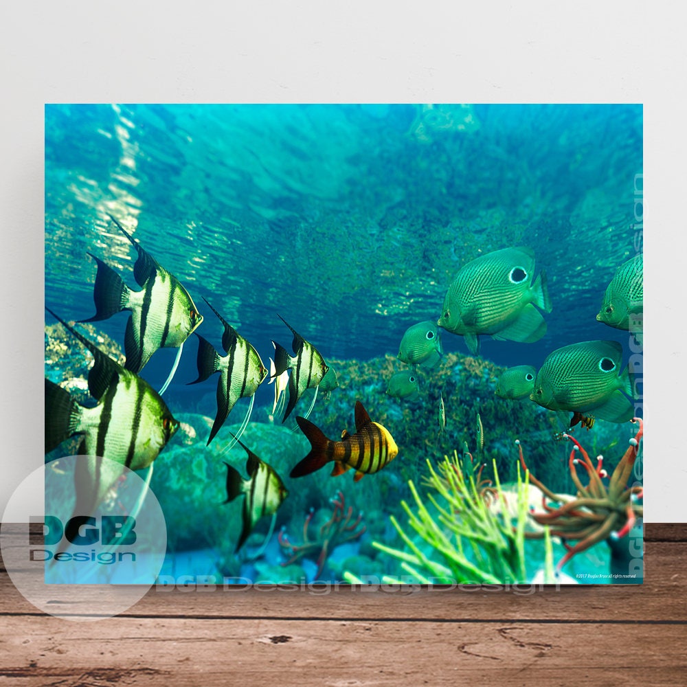 CORAL Reef Print, Beautiful Coral Reef, PRINTABLE ART, Tropical Fish ...