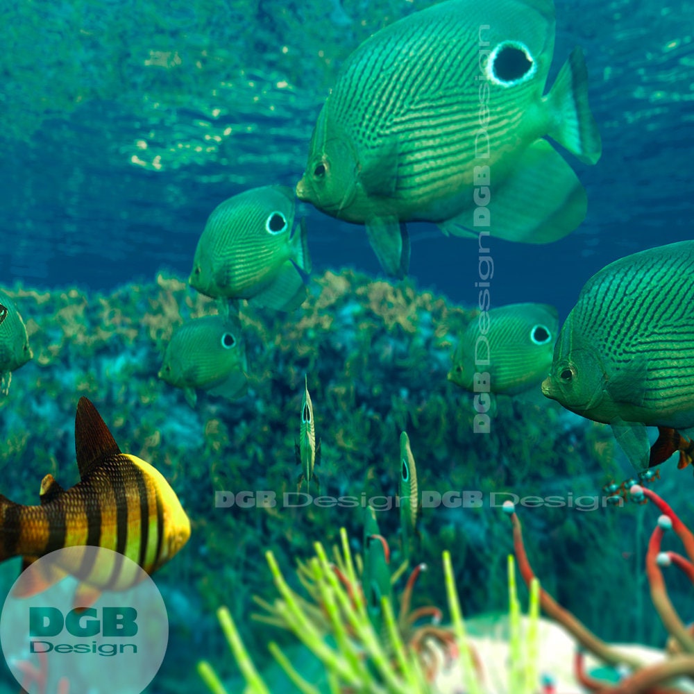 Impression de récif de corail, magnifique récif de corail, ART ...