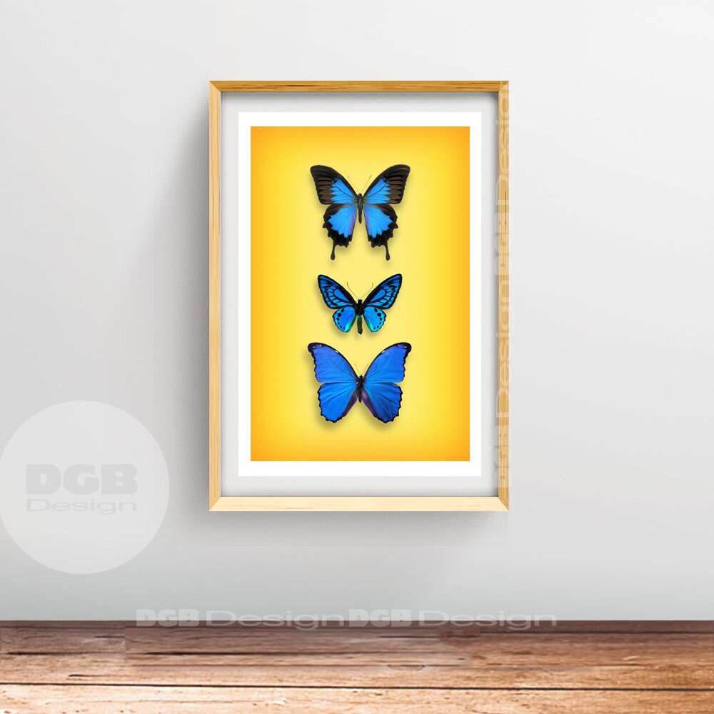 Blue Butterfly Print, Beautiful Butterflies, PRINTABLE ART, Butterflies ...