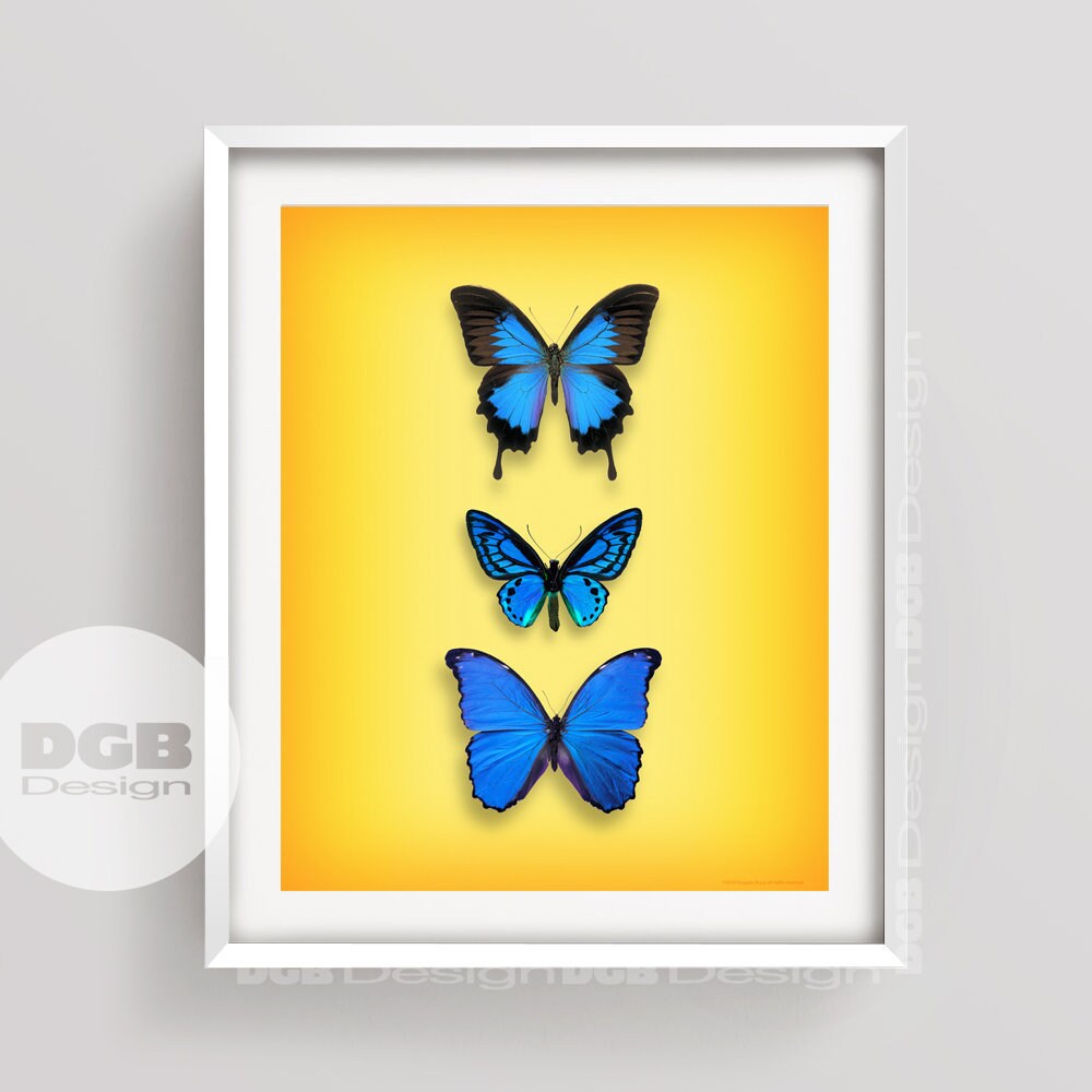 Blue Butterfly Print, Beautiful Butterflies, PRINTABLE ART, Butterflies ...