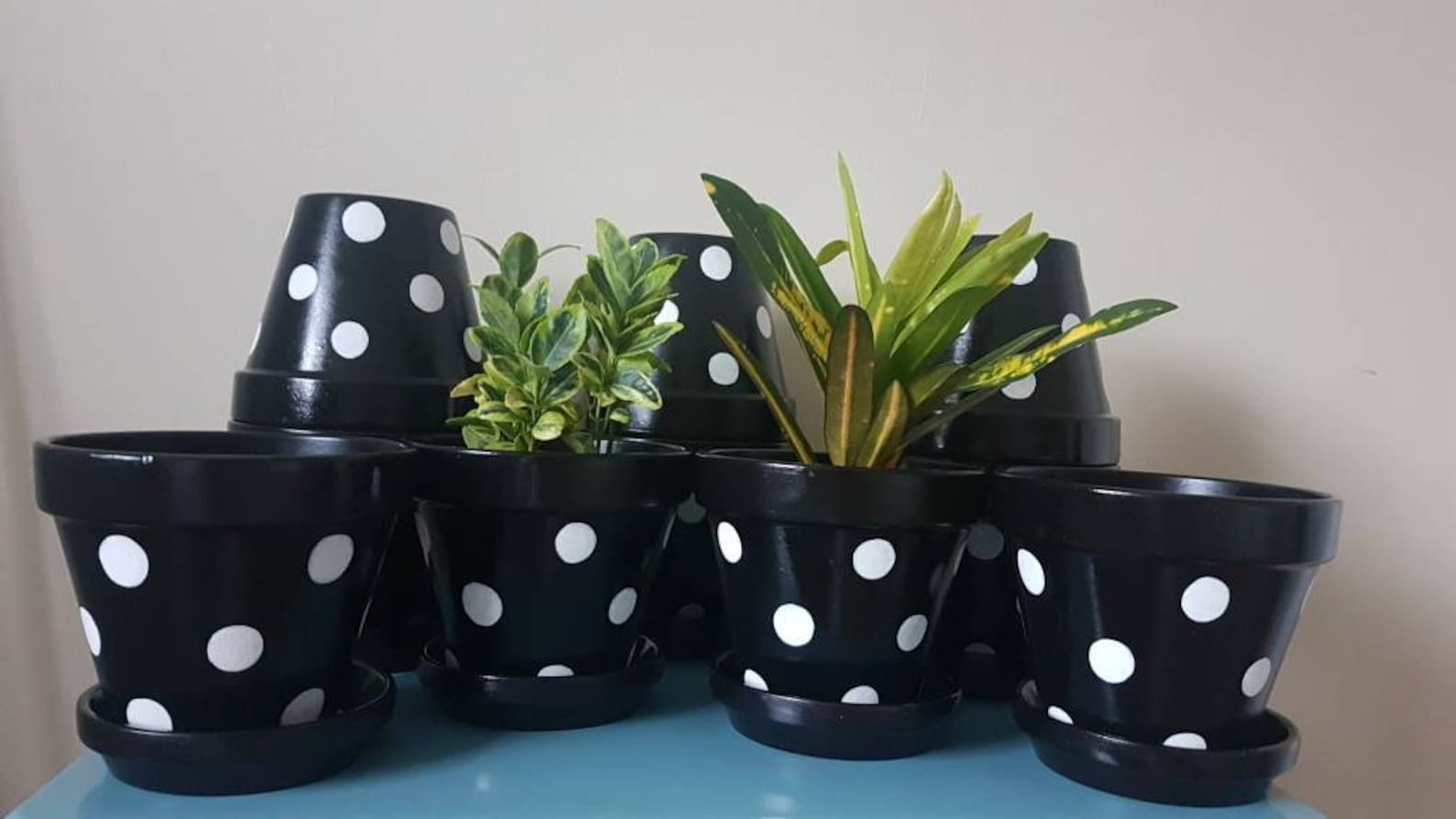 Hand Painted Plant Pot Black Polka Planter With Large Dots Various ...