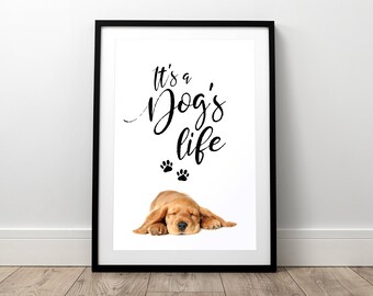 Cocker Spaniel Quote - Etsy
