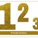 Gold Glitter Printable Clip Art Numbers 0-9 Resizable - Etsy Canada