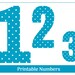 Aqua Polka Dot Alphabet Letters A-Z, Numbers 0-9 Banner, Bulletin Board ...