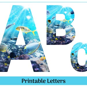 Sea Life Clip Art Numbers Printable & Resizable Ocean Life - Etsy