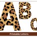 Leopard Safari Numbers 0-9 Clip Art Printable & Resizable Numbers ...