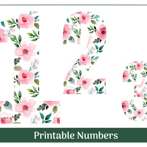 Pink Floral Alphabet Letters A-Z, Numbers 0-9 | Bulletin Board, Banner ...