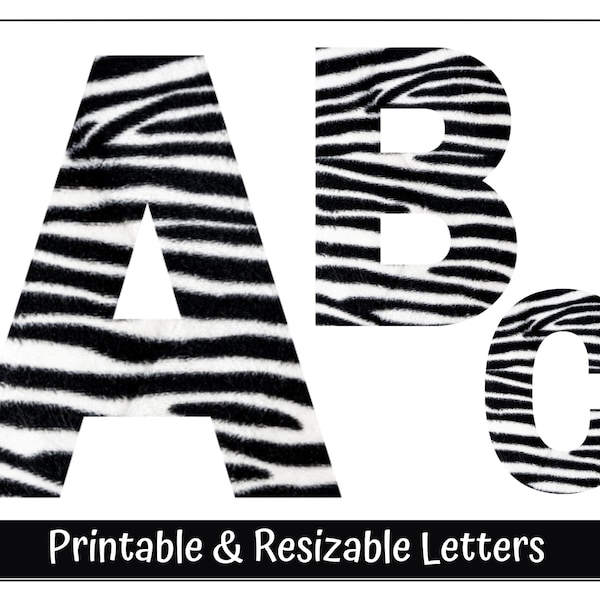 Zebra Clip Art - Etsy