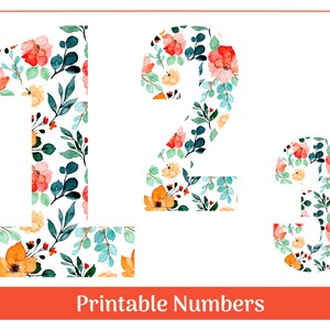 Orange Floral Alphabet Letters A-Z, Numbers 0-9 | Bulletin Board ...