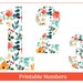 Orange Floral Alphabet Letters A-Z, Numbers 0-9 | Bulletin Board ...