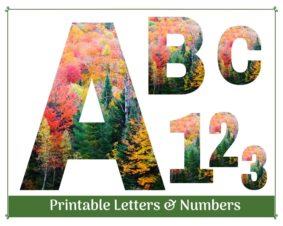 Fall Trees Alphabet Letter Clip Art | Digital Alphabet | Fall Banner ...