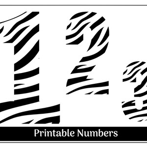 Zebra Striped - Safari Alphabet Clip Art Letters A-Z, Numbers 0-9 ...
