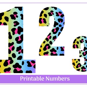 Rainbow Leopard Alphabet Clip Art Letters A-Z Printable & - Etsy