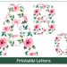 Pink Floral Alphabet Letters A-Z, Numbers 0-9 | Bulletin Board, Banner ...