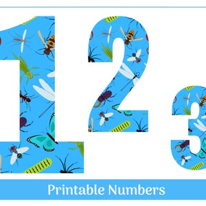 Insect Alphabet Letters A-Z & Numbers 0-9 (digital Download) - Etsy
