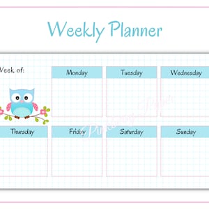 Weekly Calendar Planner | Teacher's Weekly Planner | Cute Owl Calendar ...