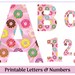 Pink Purple Ombre Glitter Alphabet Letters A-Z, Numbers 0-9 Banner ...