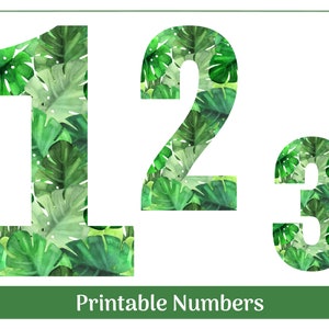 Tropical Leaves Alphabet Clip Art Letters A-Z | Numbers 0-9 | Printable ...