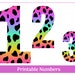 Rainbow Leopard Alphabet Letters A-Z, Numbers 0-9 Banner, Bulletin ...