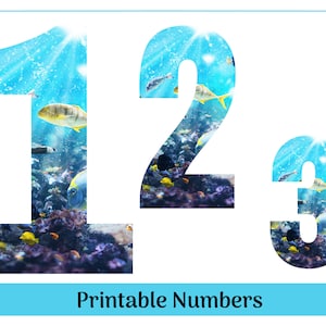 Sea Life Themed Alphabet Letter Clip Art | Sea Life Numbers - Etsy
