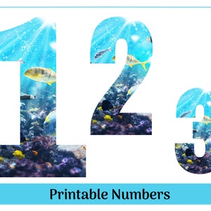 Sea Life Clip Art Numbers Printable & Resizable Ocean Life - Etsy