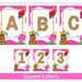 Multicultural Small World Alphabet Letters A-Z, Numbers 0-9 Banner ...