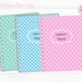 Pastel Polka Dot Teacher Lesson Plan Book: Printable Planner (digital ...