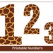 Giraffe Safari Alphabet Clip Art Letters A-Z, Numbers 0-9 - Etsy