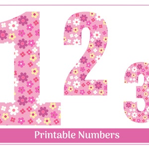 Pink Floral Alphabet Clip Art Letters A-Z and Numbers 0-9 | Banner ...