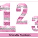 Pink Glitter Metallic Alphabet Letter and Number Clip Art Printable ...