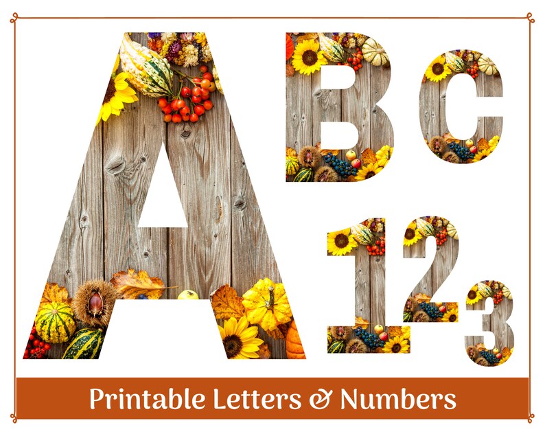 Fall Floral Alphabet & Numbers Clip Art (printable PNG) - Etsy