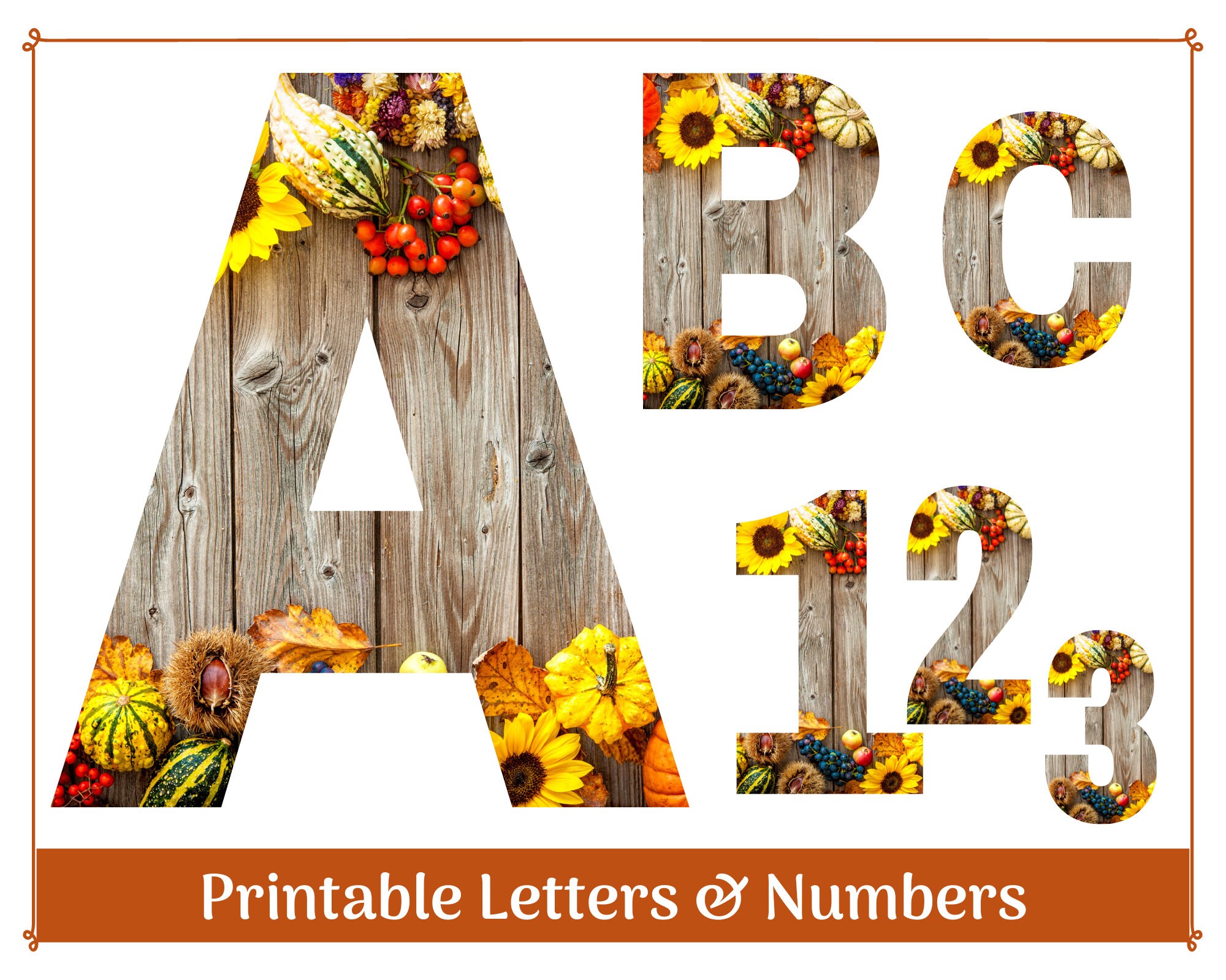 Fall Floral Alphabet & Numbers Clip Art (printable PNG) - Etsy